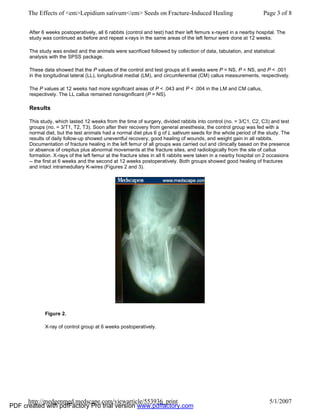 Lepidium Sativum | PDF