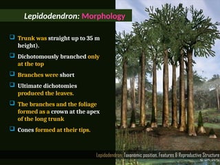 Lepidodendron.pptx palaeobotany slide.... | PPTX