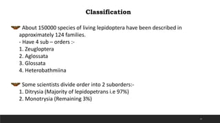 Lepidopteran insects (1).pptx