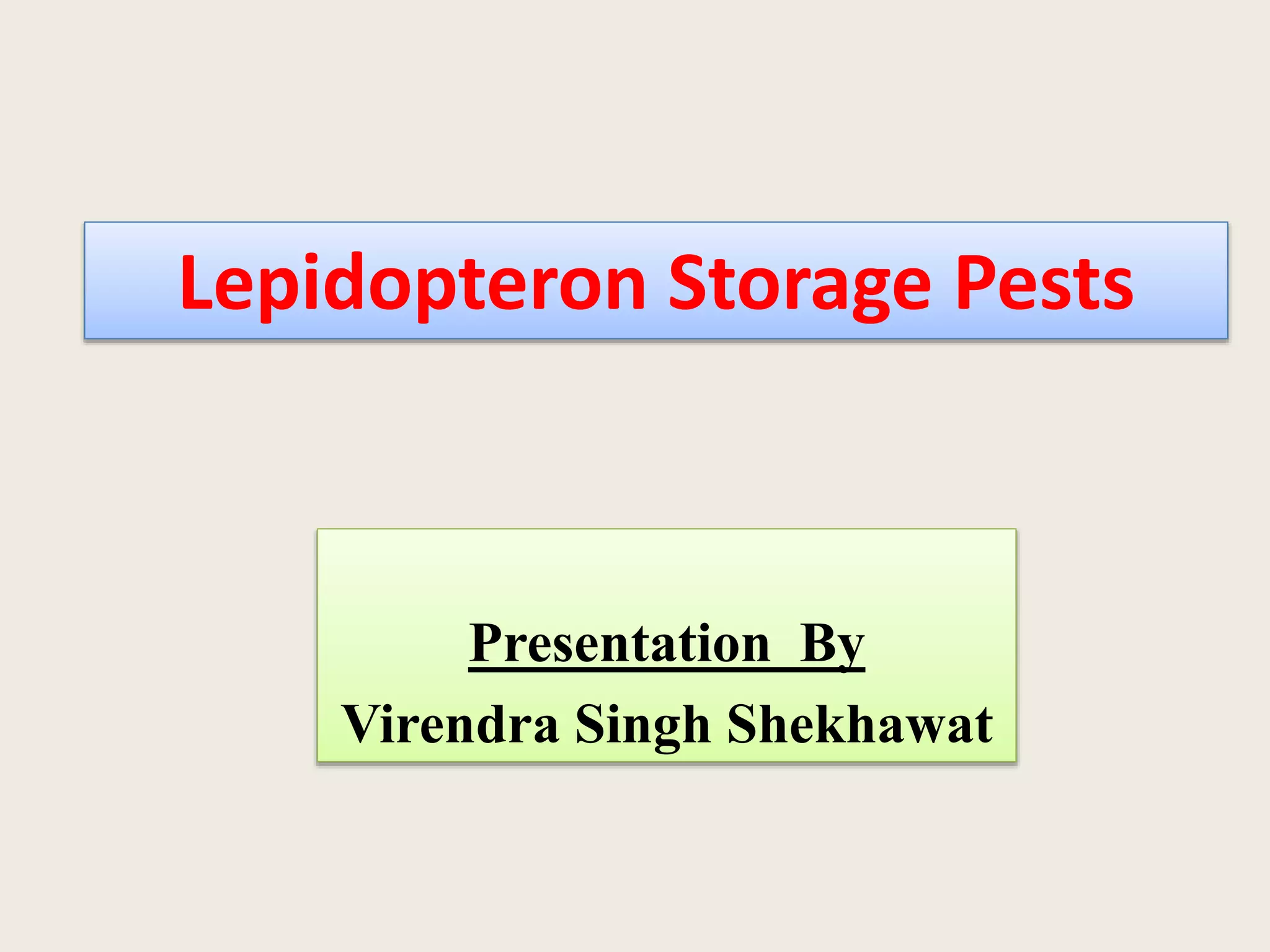 Storage pests | PPTX