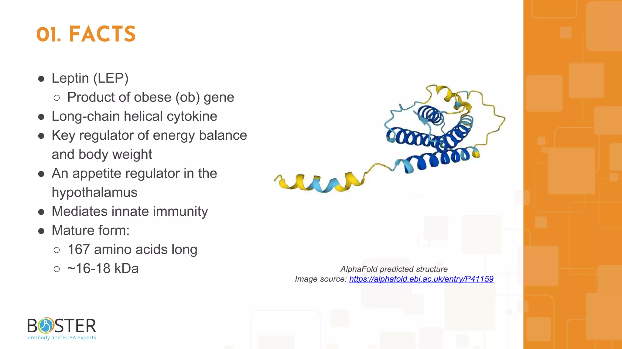 Learn LEP in 3 minutes | Leptin | PPTX