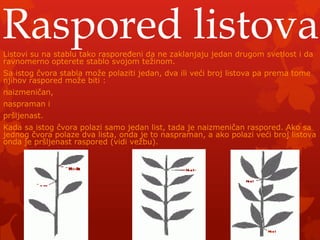 Lepotan sa dva lica - list | PPTX