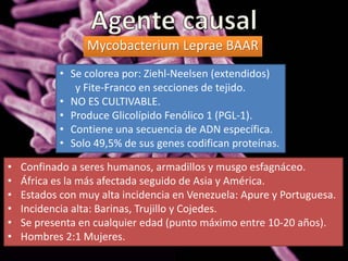 Lepra | PPTX | Diseases and Conditions | Medical Health