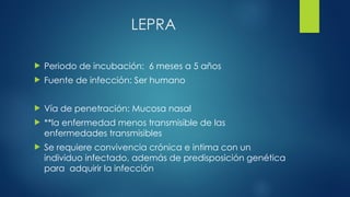 La lepra, también conocida como enfermedad de Hansen, es una enfermedad ...