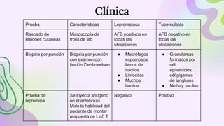 Mycobacterium leprae.pptx