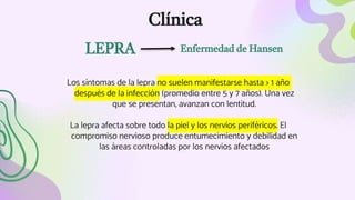 Mycobacterium leprae.pptx