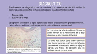 LEPRA ENFERMEDAD DE HANSEN COMPLICACIONES Y TRATAMIENTO.pptx