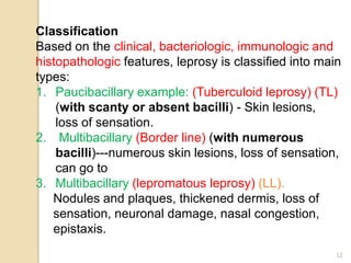 Pathophysiology of Leprosy | PDF