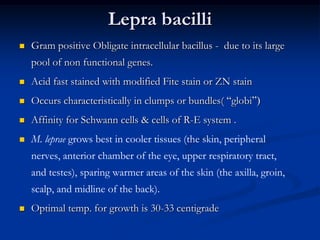 Leprosy | PPT