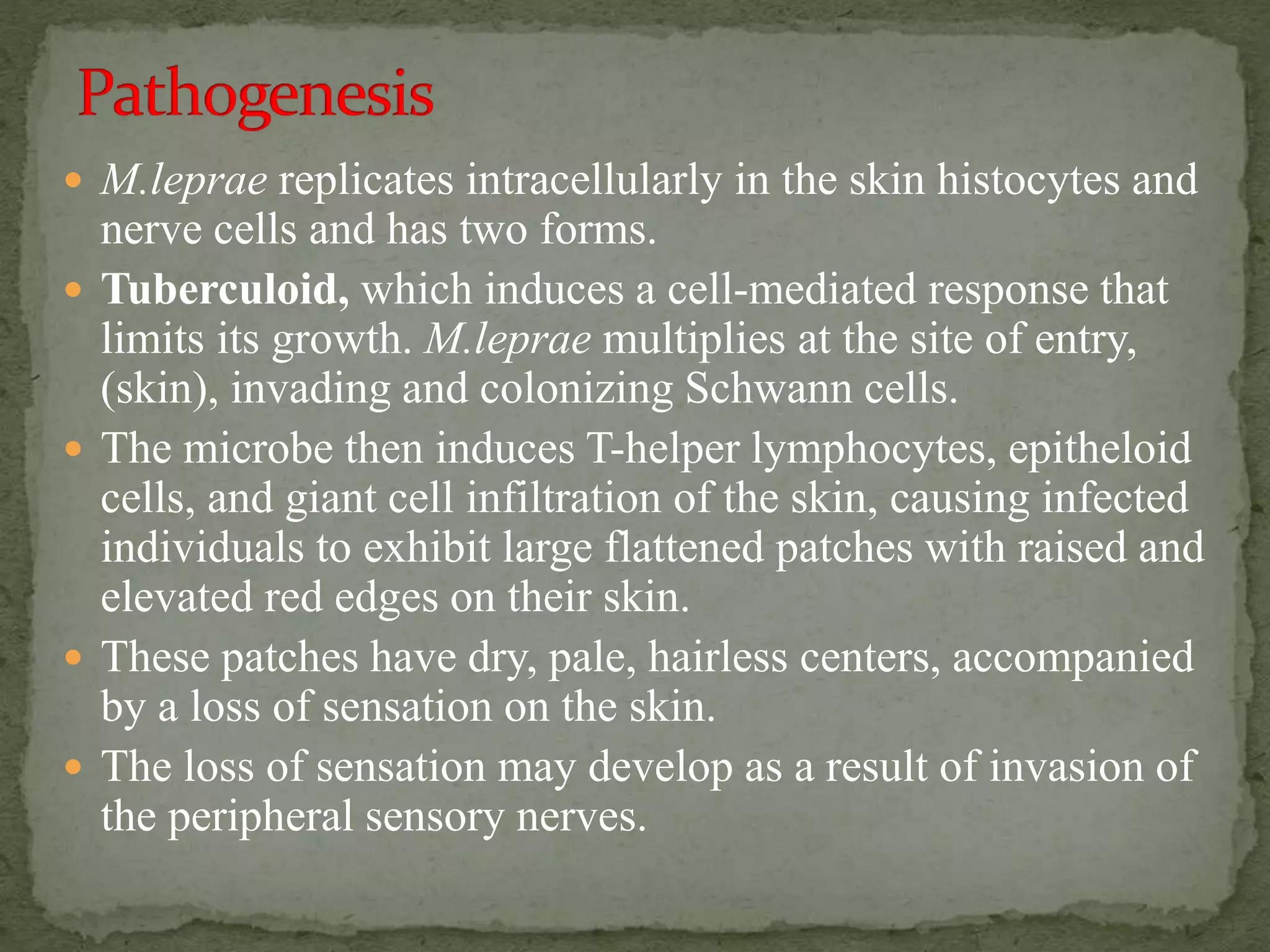 Management of Leprosy | PPTX