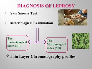 Leprosy | PPT