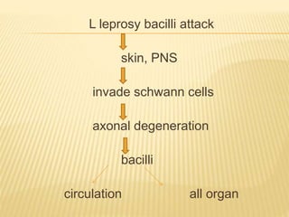 Leprosy | PPTX
