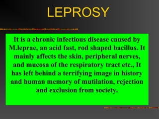 Leprosy And Yellow Fever Health Education .PPT | PPT