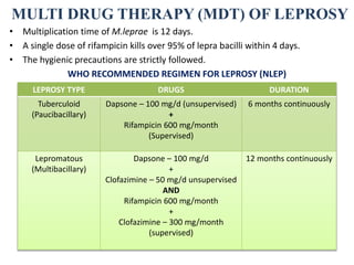 Leprosy | PPT | Skin and Dermatology | Diseases and Conditions