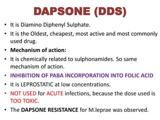 Leprosy | PPT | Skin and Dermatology | Diseases and Conditions