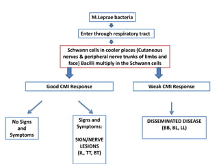 Leprosy Diagram