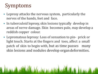 Leprosy | PPT