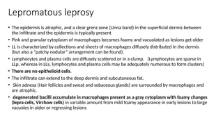 leprosy - immuno n histo.pptx dermatology slide | PPTX