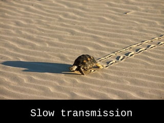 Leprosy N Actinomycosis | PPT