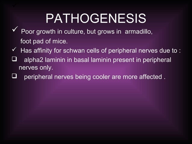 Leprosy (1).ppt hpe | PPT | Blood Disorders | Diseases and Conditions