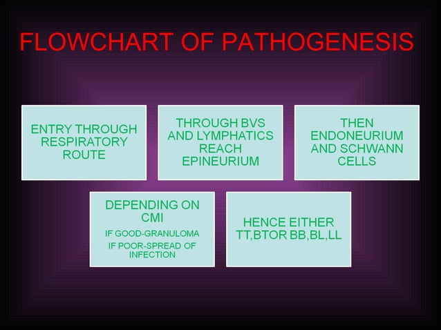 Leprosy (1).ppt hpe | PPT | Blood Disorders | Diseases and Conditions