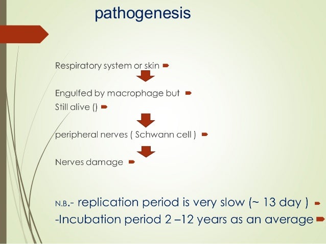 Leprosy by tanta university student