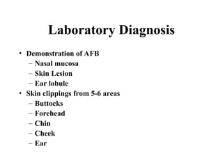 leprosy caused by Mycobacterium leprae bact | PPT