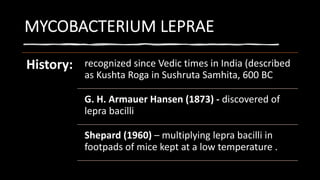 Leprosy microbiology | PDF