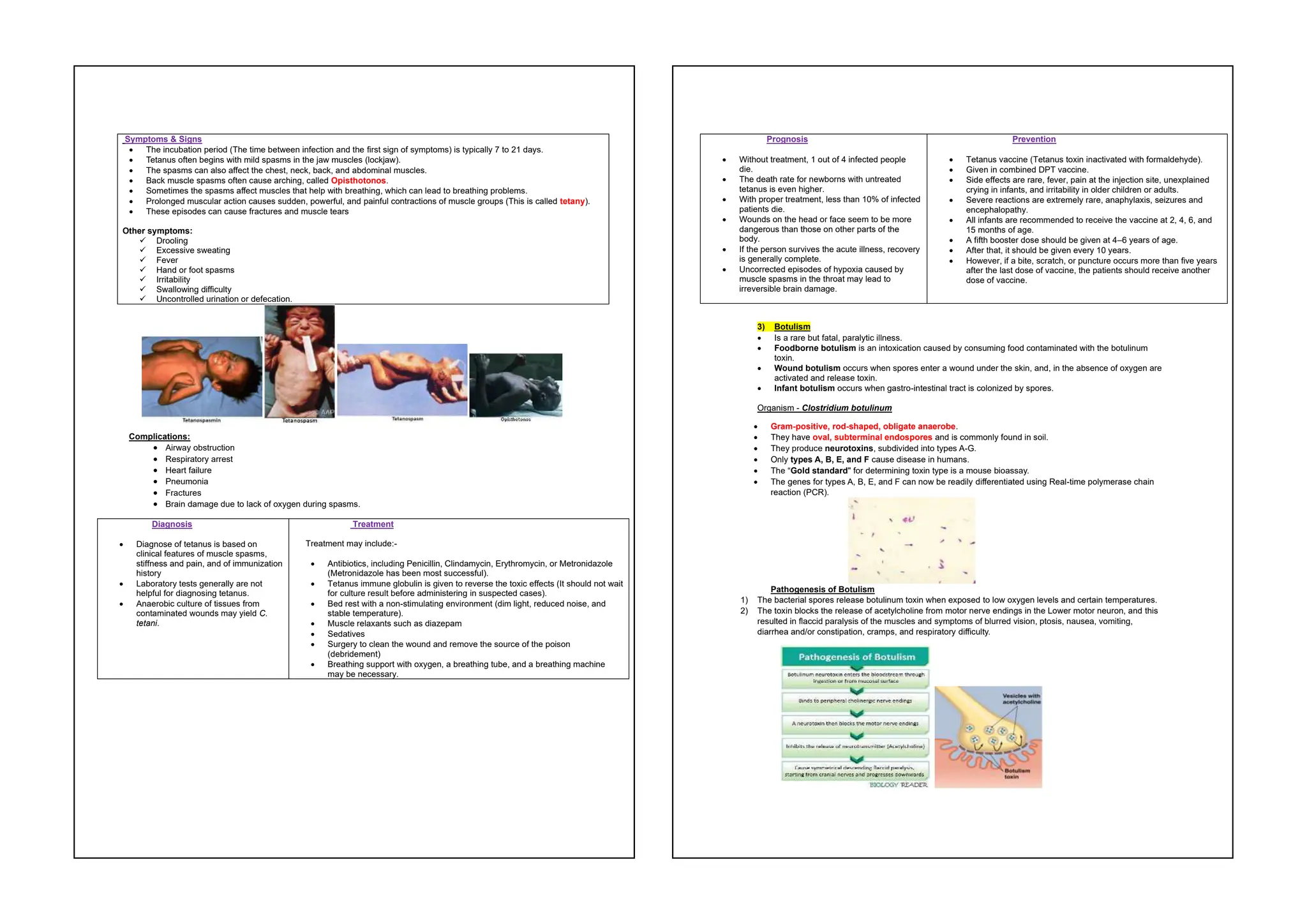 Leprosy microbiology very short & concise | PPT