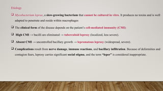 LEPROSY notes and explanation ppt n class.pptx
