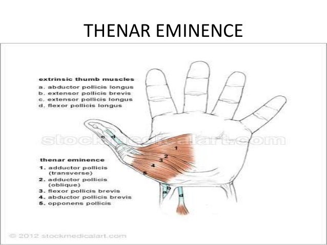 Leprosy tests by aseem