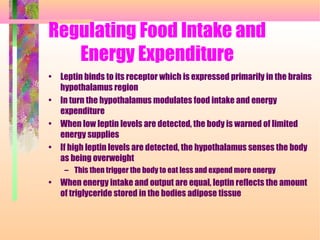 Leptin | PPT