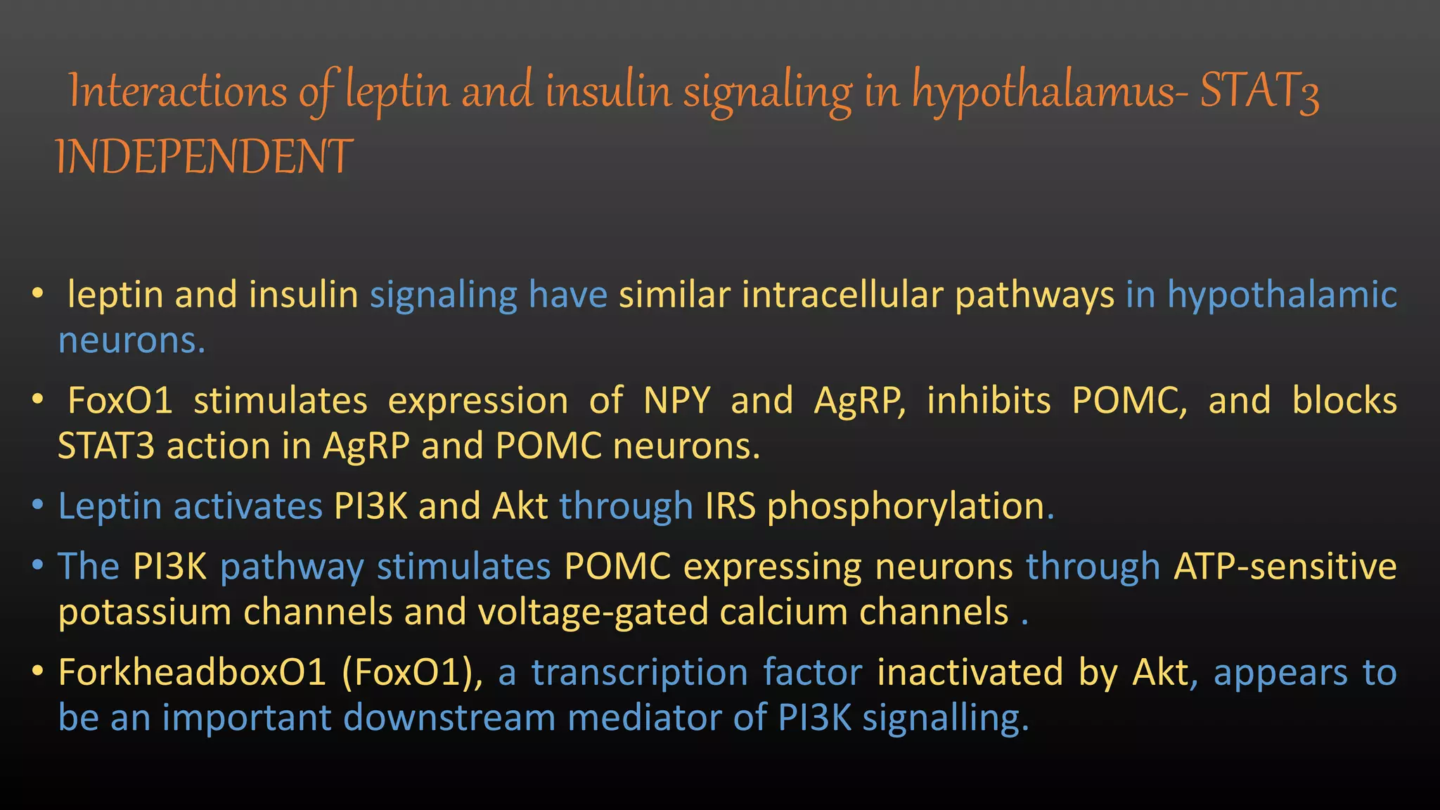 Leptin | PPTX