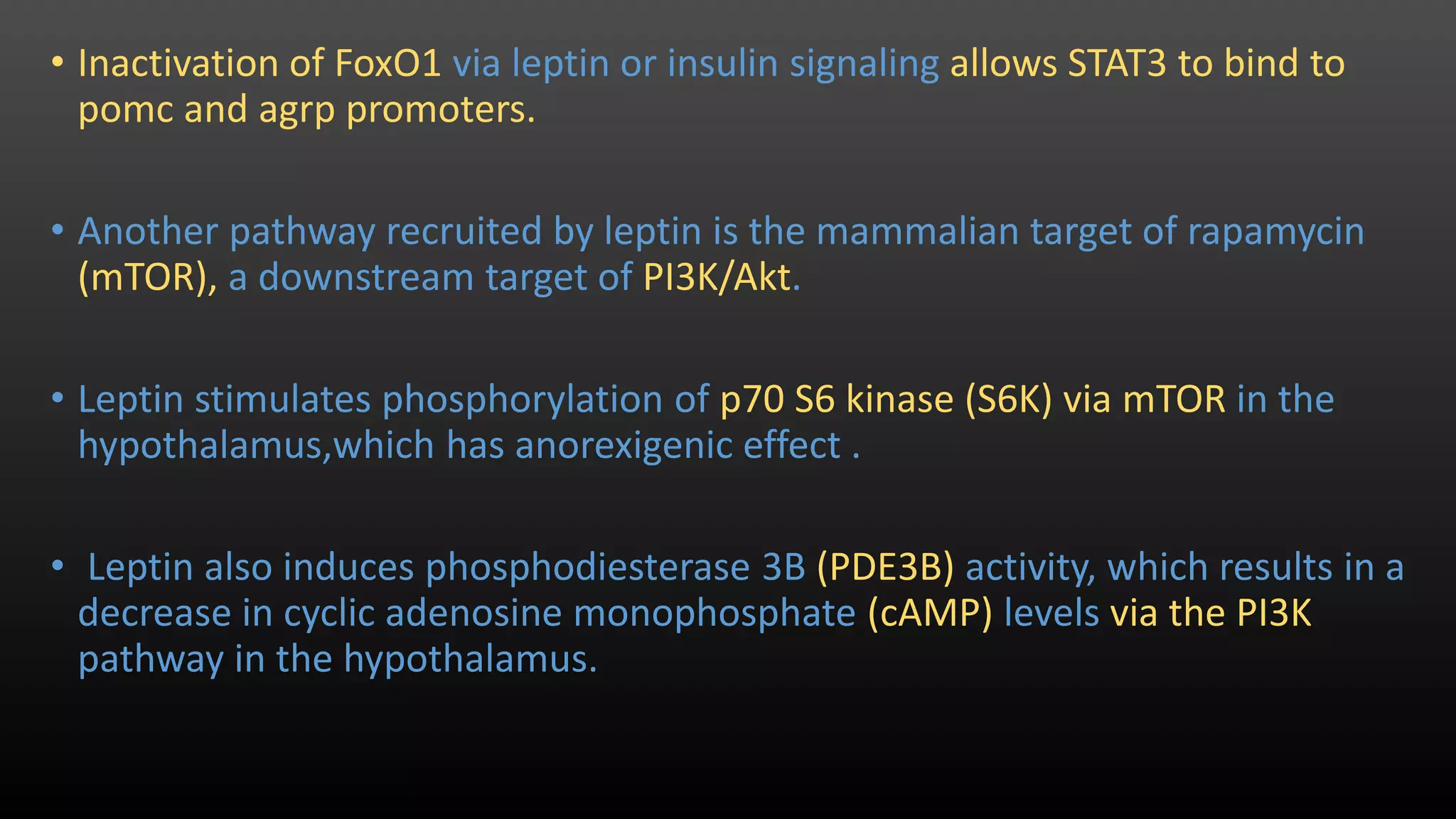 Leptin | PPTX