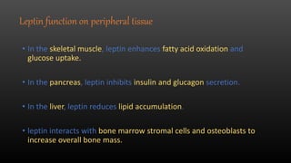 Leptin | PPTX