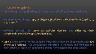 Leptin | PPTX
