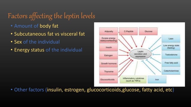 Leptin | PPTX