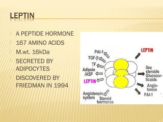 Leptin and obesity cycle | PPT