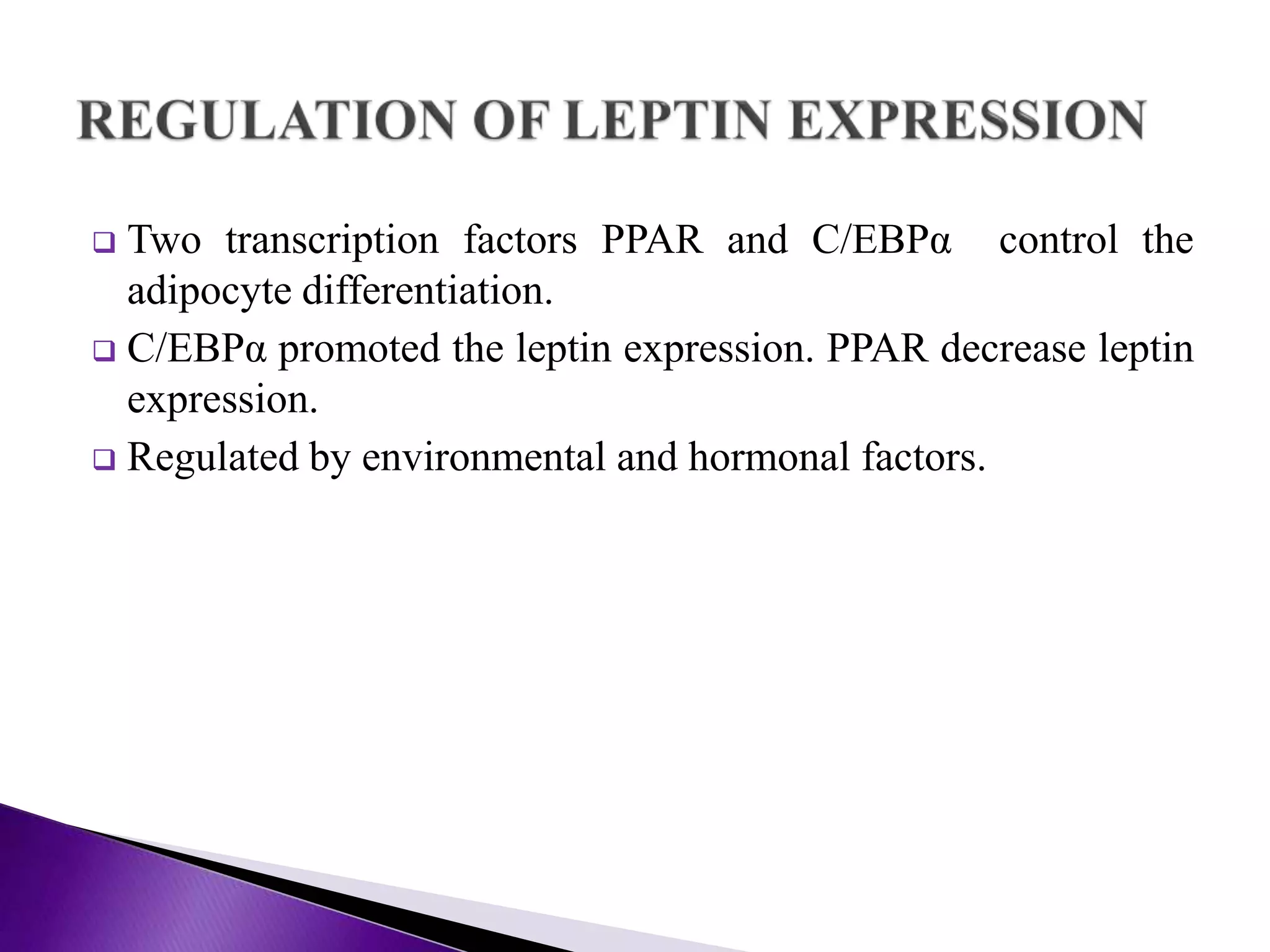 Leptin ppt | PPTX