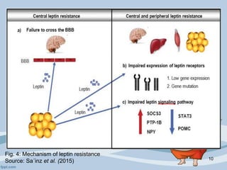 Leptin resistance in obesity | PPTX