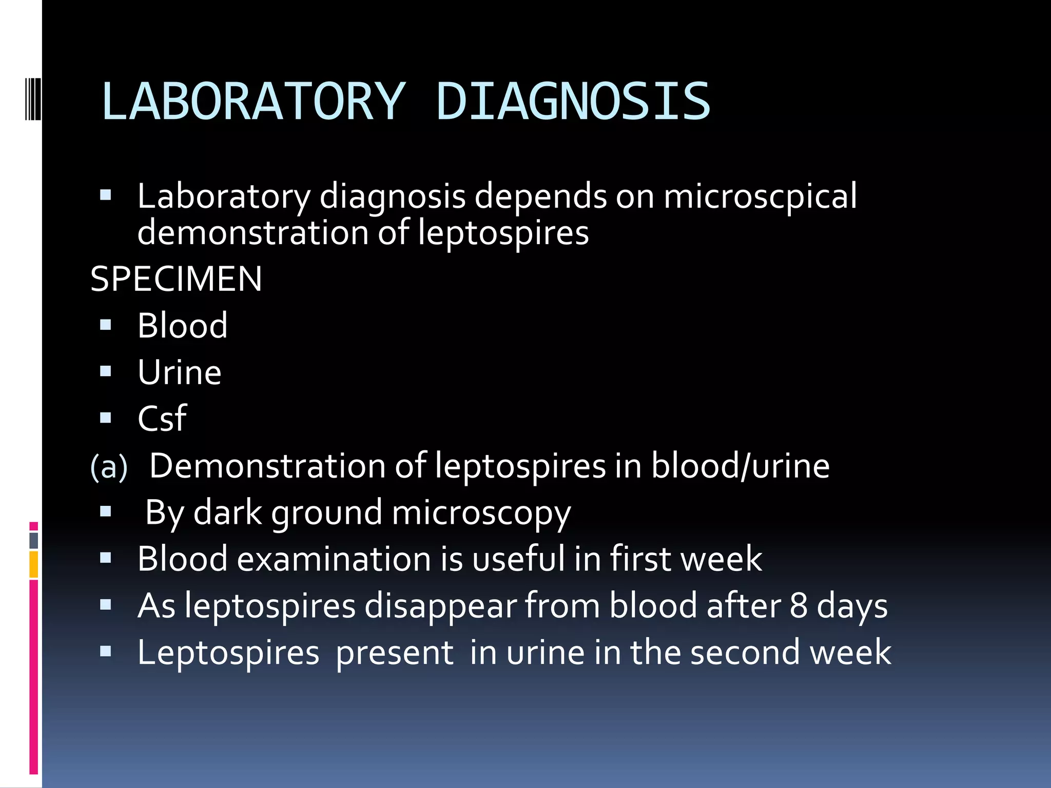 Leptospira | PPTX