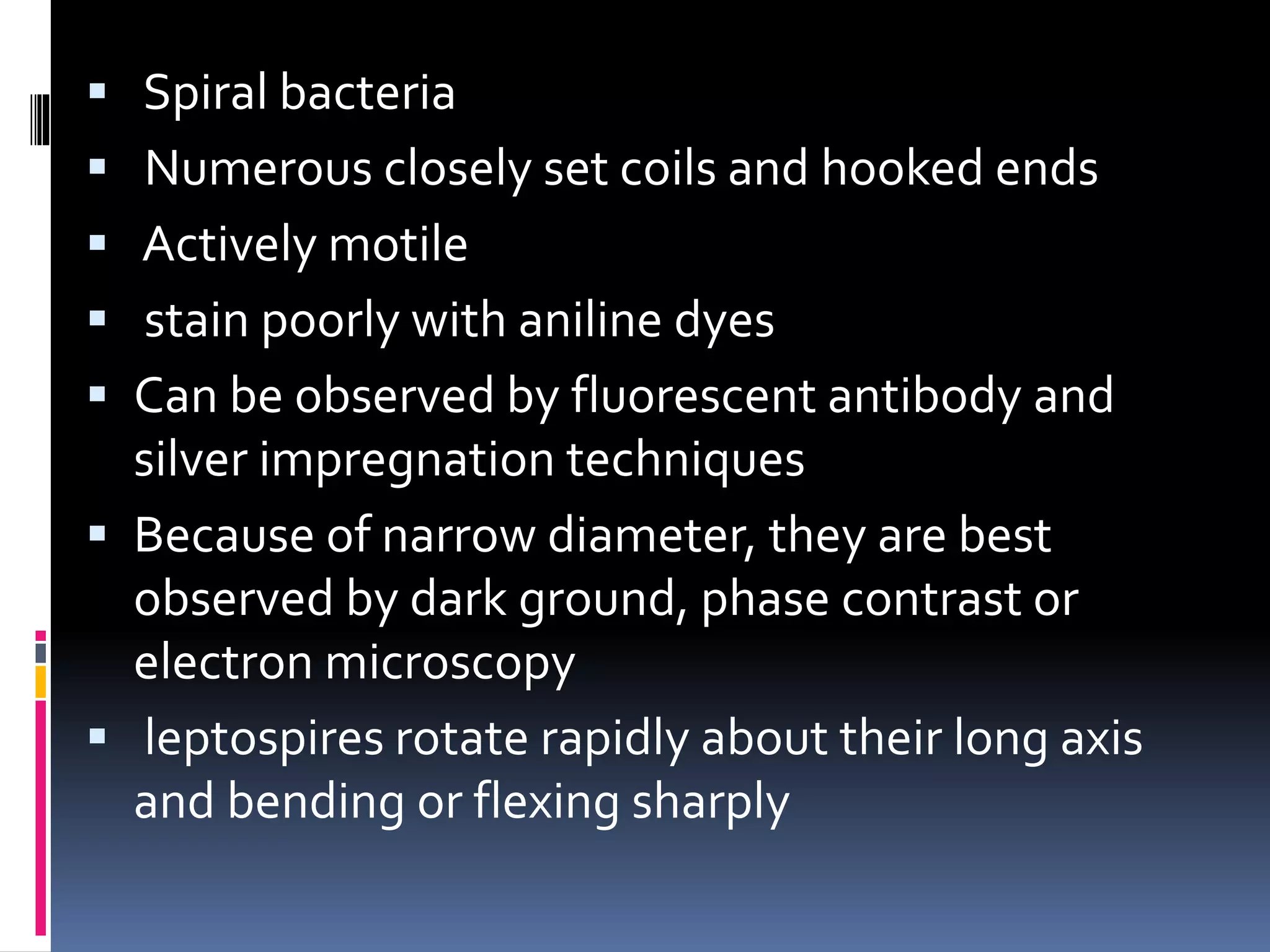 Leptospira | PPTX