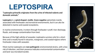 Leptospira in Marine & Coastal Environments | PPTX