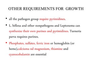 Leptospira azadi | PPTX