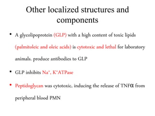Leptospira azadi | PPTX