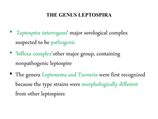 Leptospira azadi | PPTX