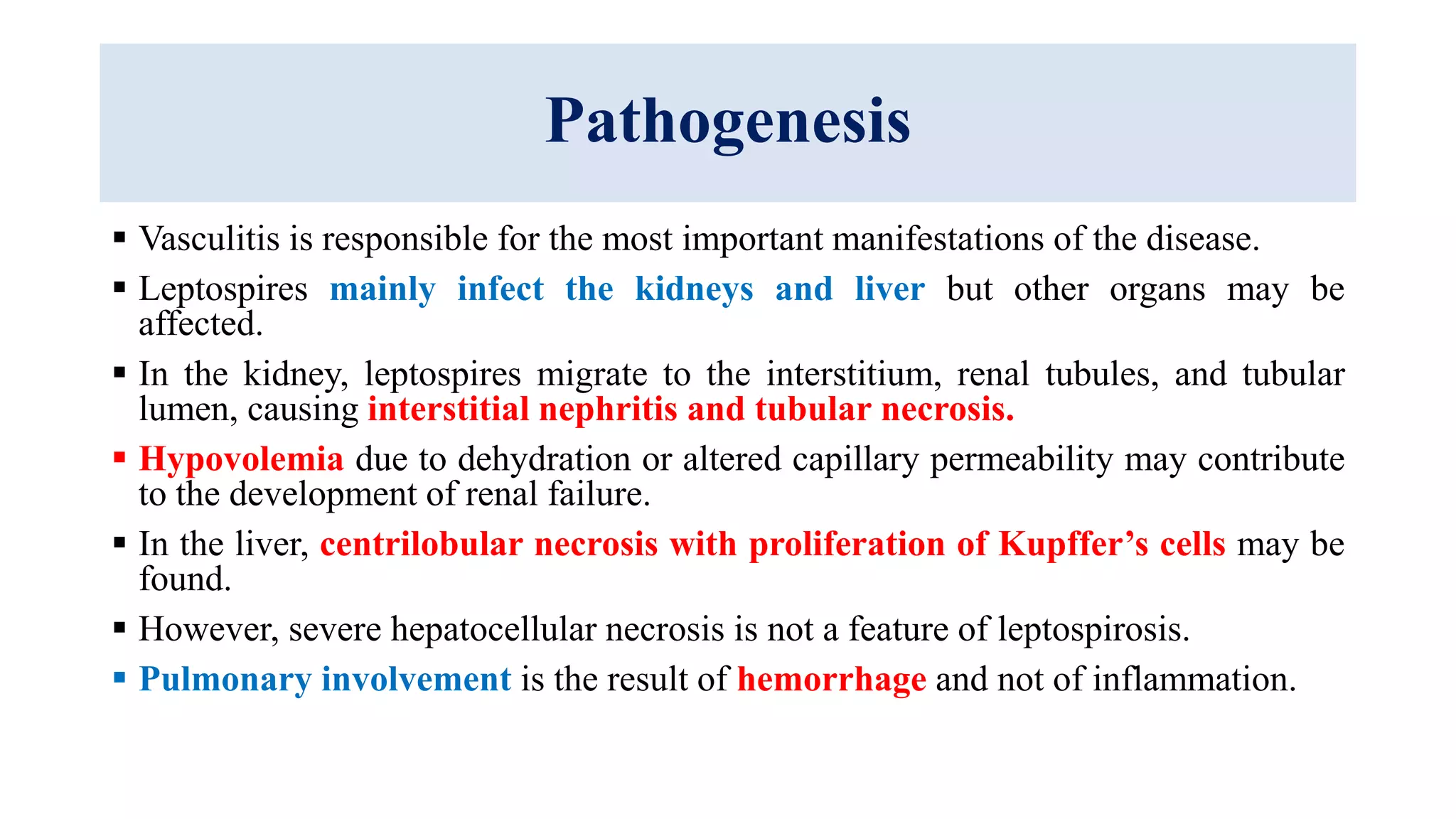 Leptospira weil's disease | PPTX
