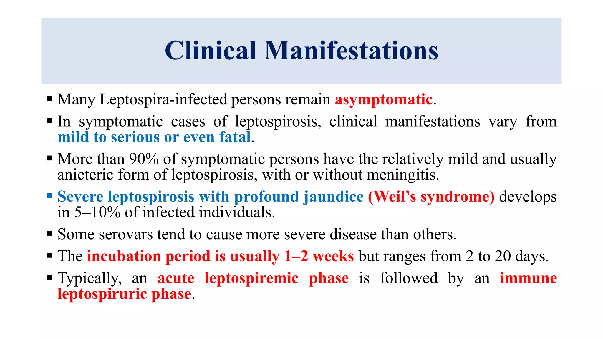 Leptospira weil's disease | PPTX