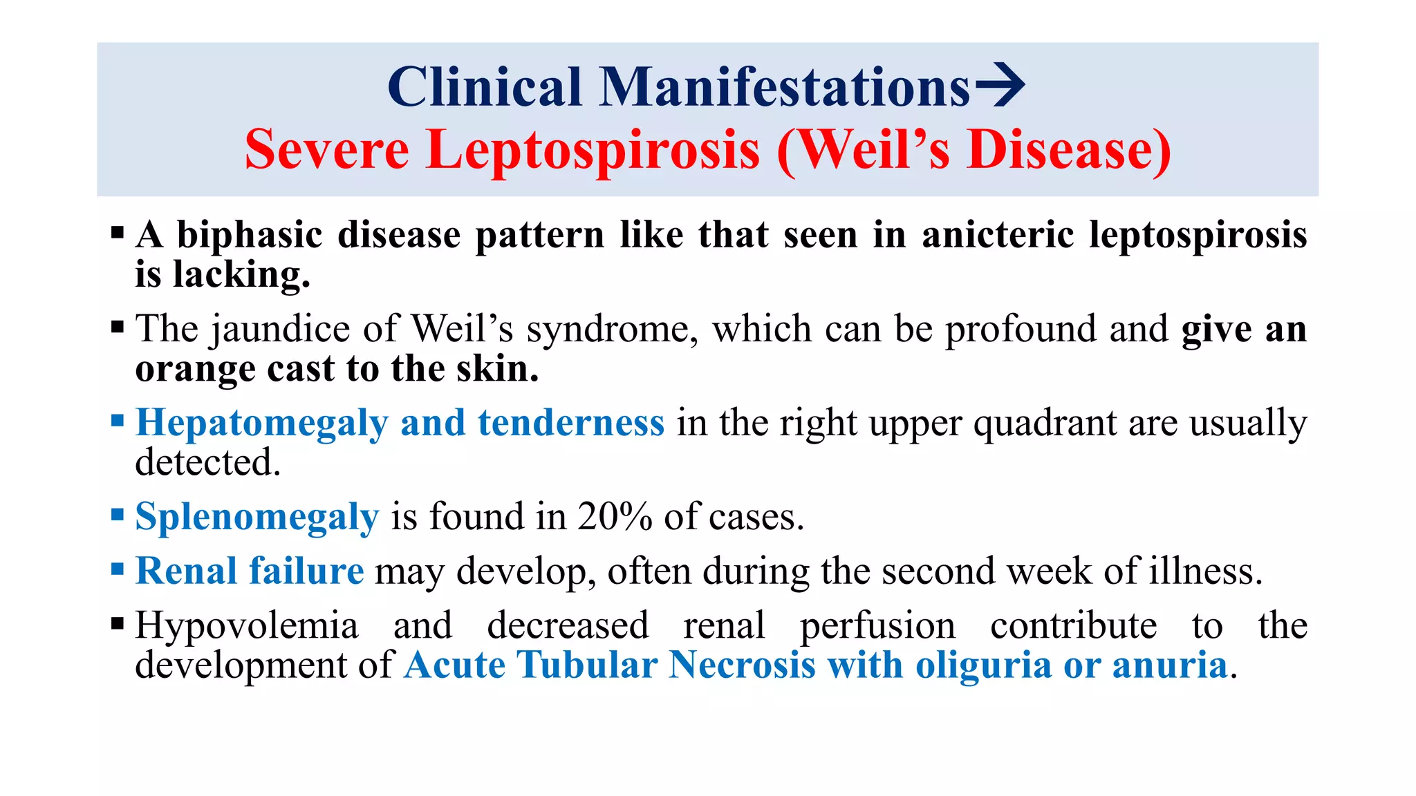 Leptospira weil's disease | PPTX