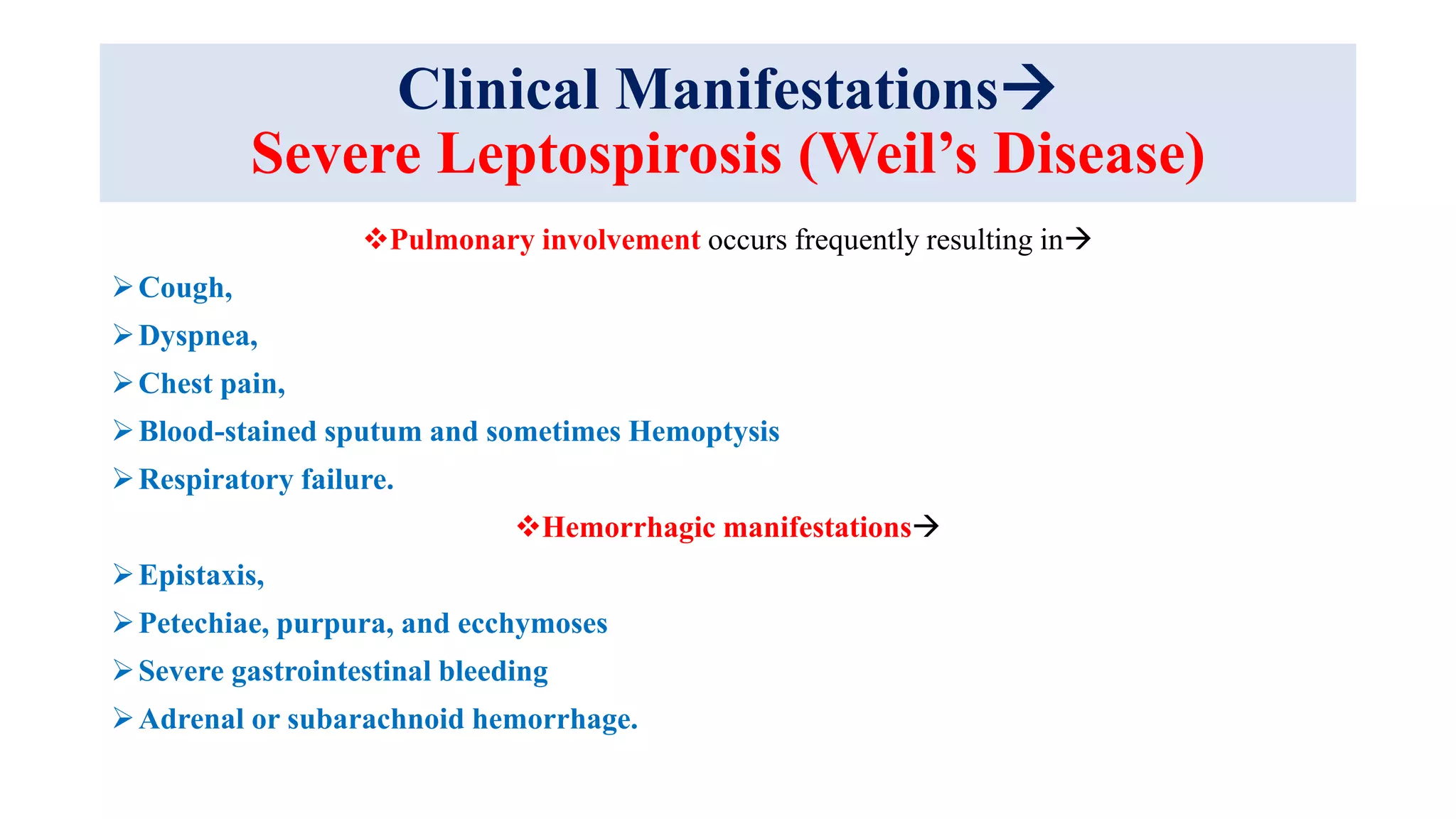 Leptospira weil's disease | PPTX